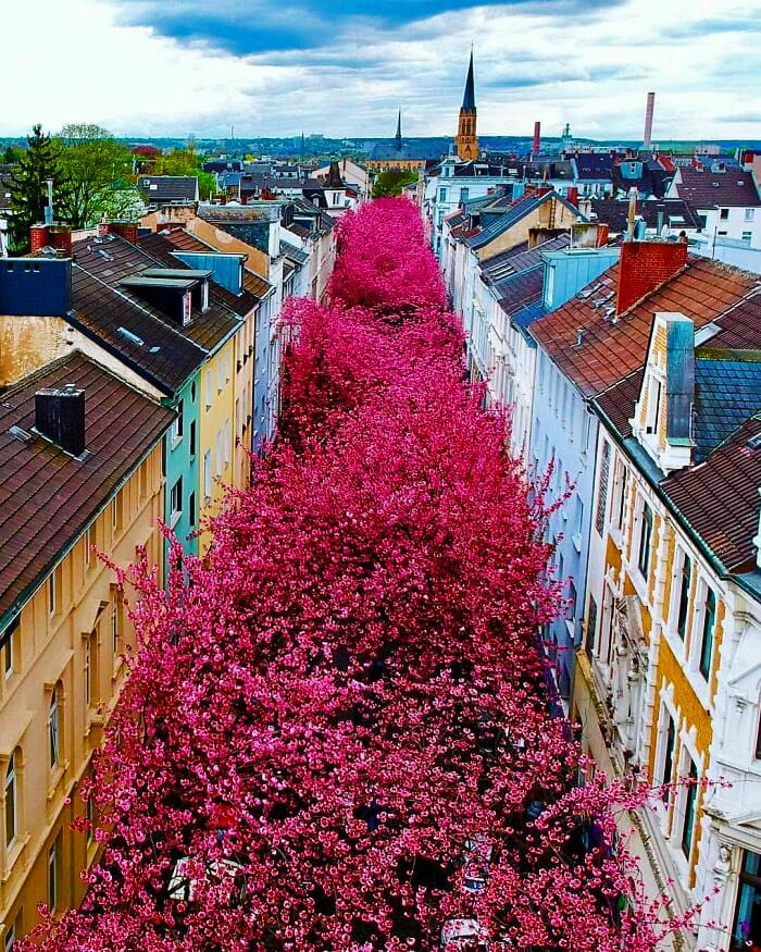 Bagaimana Rasanya Hidup Di Jerman? 50 Foto Ini Rangkumannya! (2/2)
